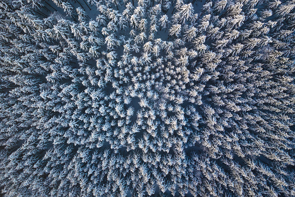 Lana Tannir Interview: Where Nature Photography Meets Environmental Purpose
