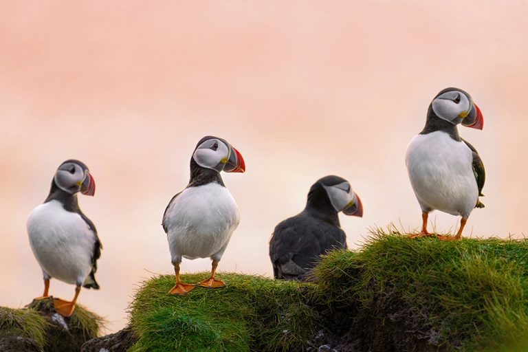Lana Tannir Interview: Where Nature Photography Meets Environmental Purpose
